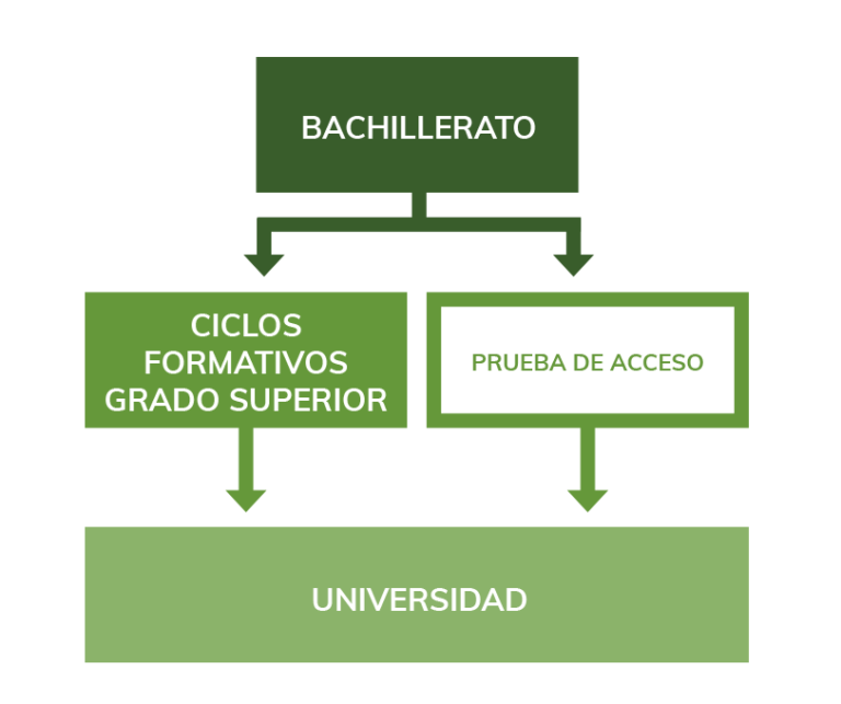 Bachillerato - UHEI-IVED